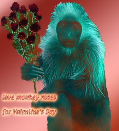 love monkey roses